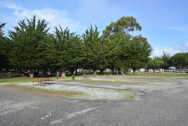 Destination: Costanoa - GoSilver