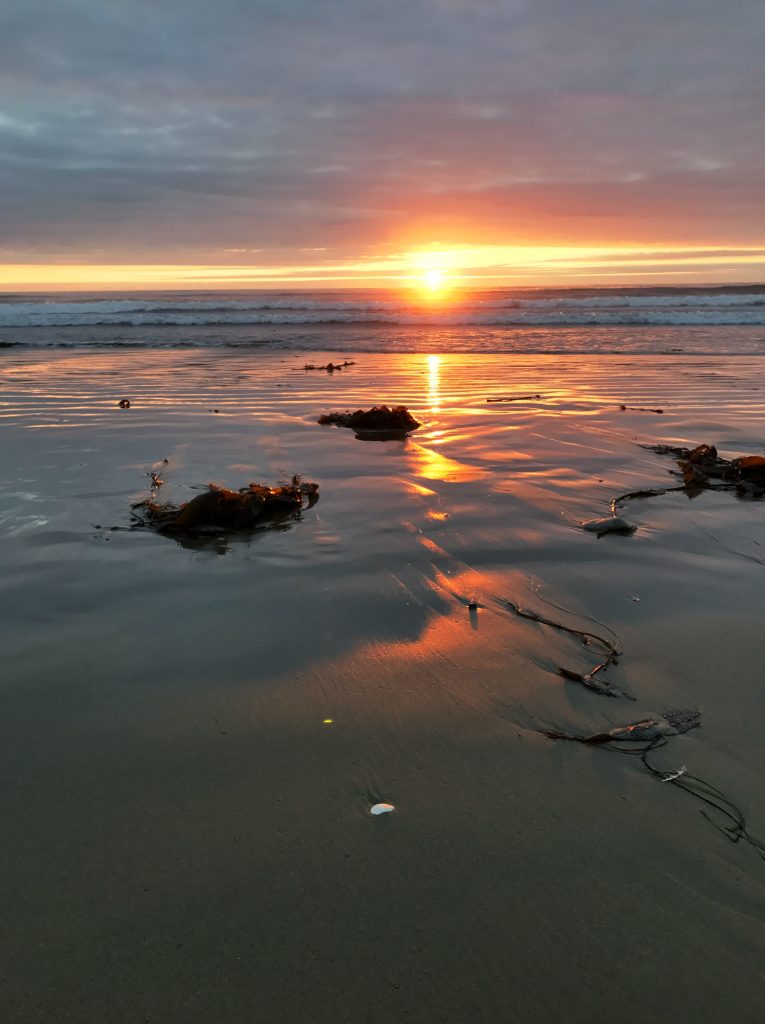 Destination: Morro Strand State Beach Park - GoSilver